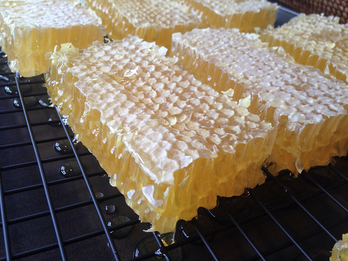 Honey – Meridian Beekeepers’ Association