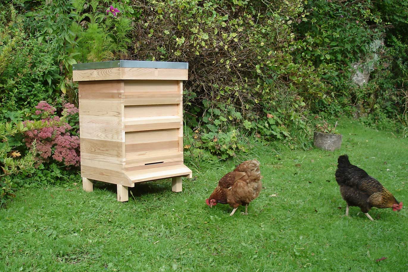Siting your apiary – Meridian Beekeepers’ Association