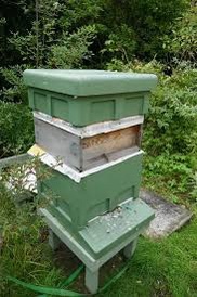 How to unite two colonies – Meridian Beekeepers’ Association