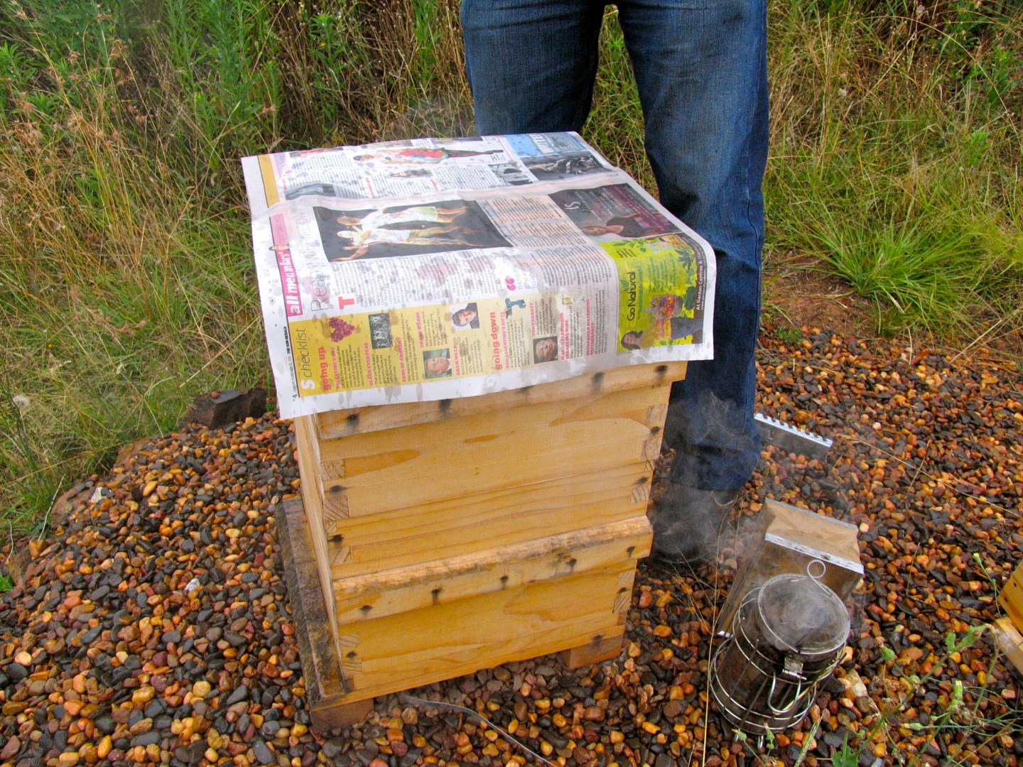 How to unite two colonies – Meridian Beekeepers’ Association