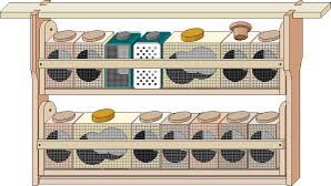 Queen rearing, a simple method – Meridian Beekeepers’ Association